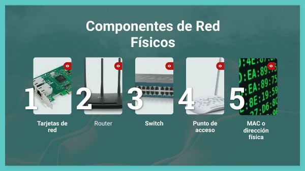 Componentes de Red Físicos
