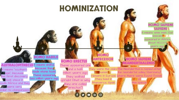 TIMELINE DINOSAURIOS