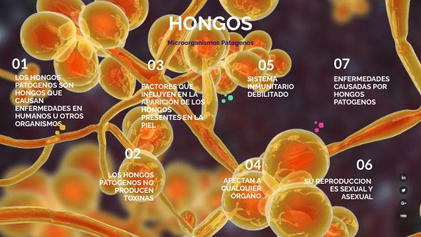 Hongos Patógenos trabajo grupal