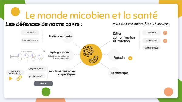 Carte Mentale Le monde microbien et la santé