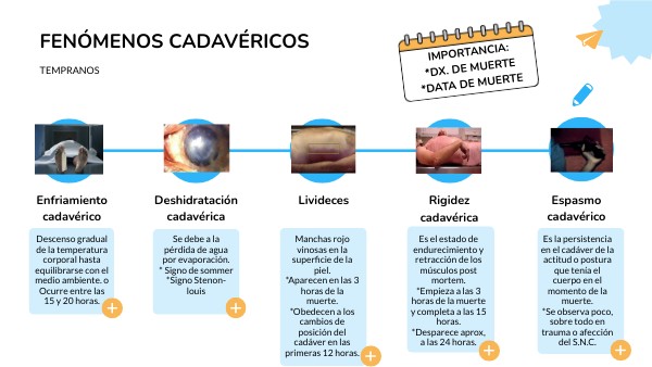 FENOMENOS CADAVERICOS