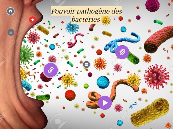 Pouvoir pathogène des bactéries