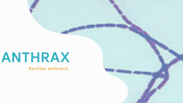 Anthrax