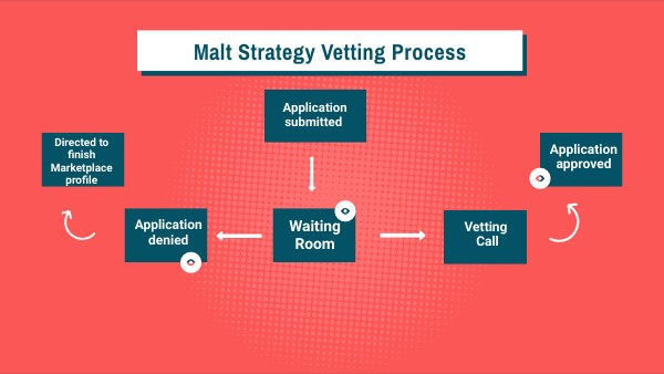 Strategy Vetting Process