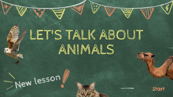 Let's talk about animals!!