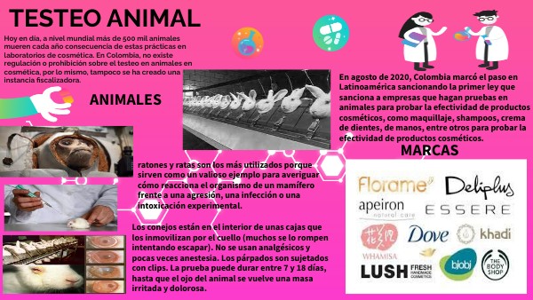 testeo animal