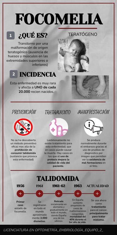 INFOGRAFÍA FOCOMELIA