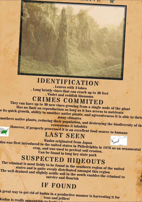 Invasive Species Wanted Poster- Kudzu