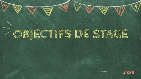 Objectif Stage Foyer Vie – Objectifs De Stage Travail Social – IRMT