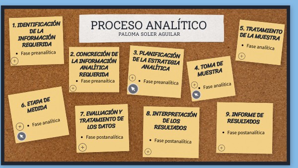 PROCESO ANALÍTICO