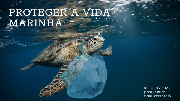 Proteger a Vida Marinha