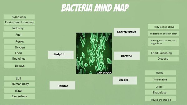 Bacteria Mind Map