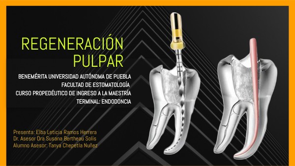 REGENERACIÓN PULPAR