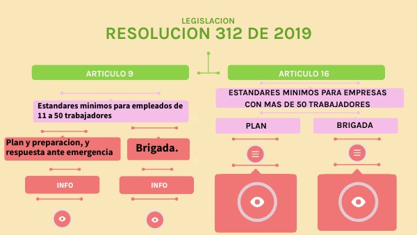 RESOLUCION 312 DE 2019