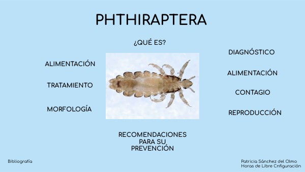 PHTHIRAPTERA