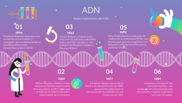 Linea del tiempo ADN