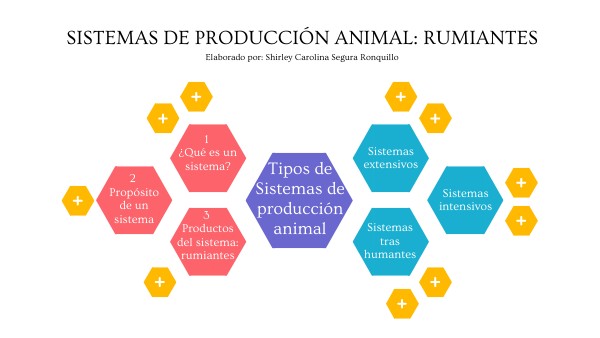 TAA1. Mapa conceptual sistemas de produccion animal