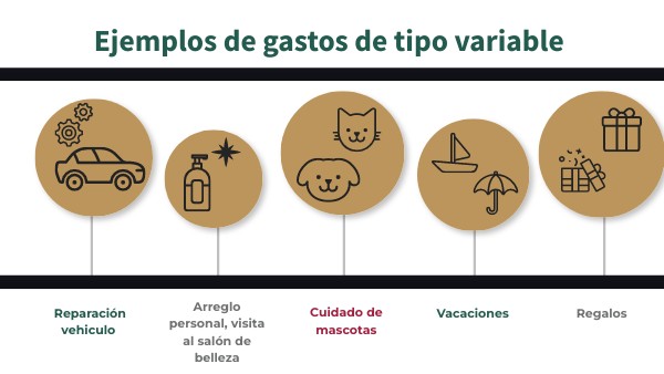 Ejemplos de gastos de tipo variable
