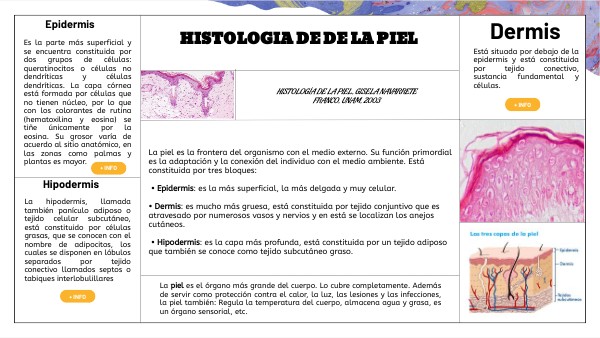 Histología de la piel