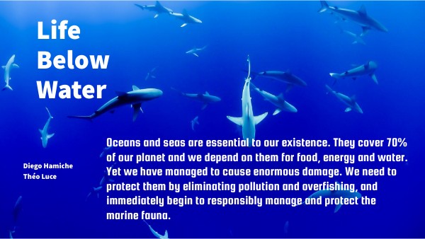 life below water