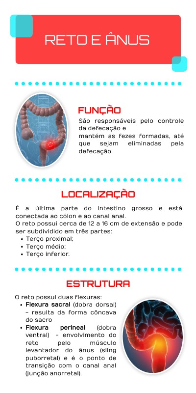 Info. Reto e ânus