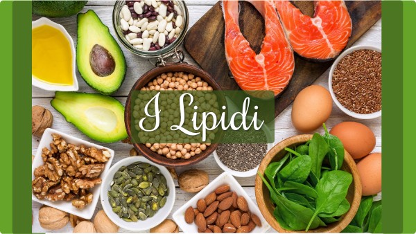 i lipidi