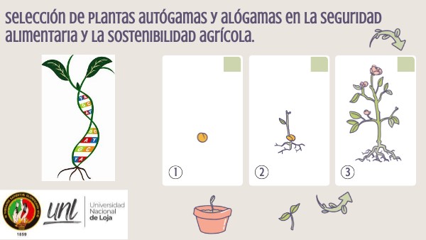 seleccion de plantas autogamas y alogamas