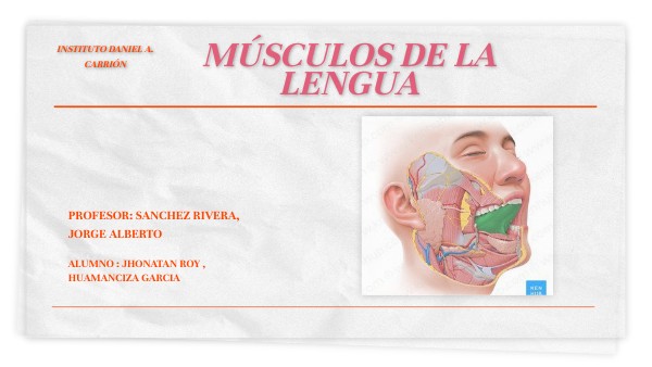 MÚSCULOS DE LA LENGUA