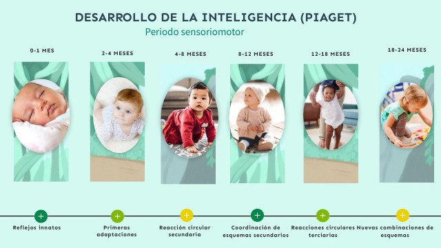 DESARROLLO DE LA INTELIGENCIA (SUBESTADIOS DE PIAGET)