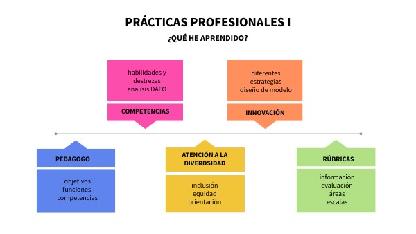 PRACTICAS PROFESIONALES I