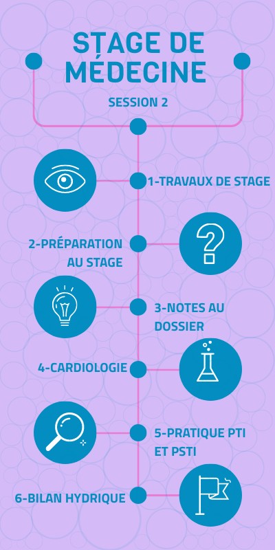 Objectif De Stage Ide Medecine – Fiche Objectif De Stage Ifsi – SDYEM