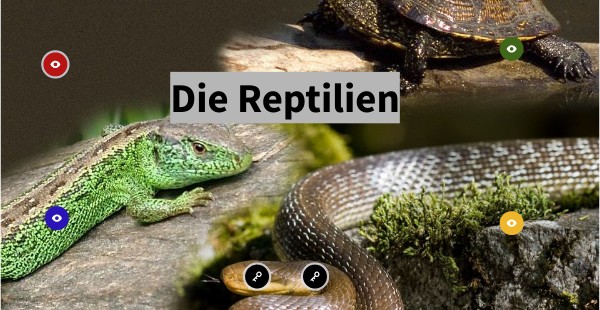 Die Reptilien