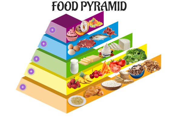 FOOD PYRAMID