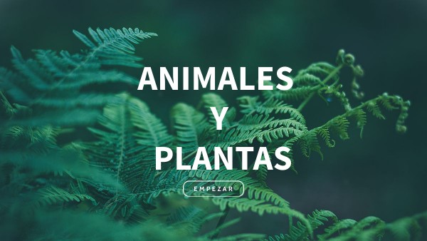 ANIMALES Y PLANTAS