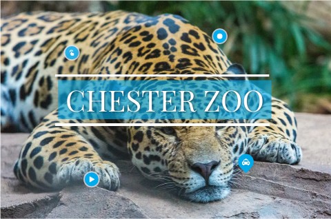 Chester Zoo