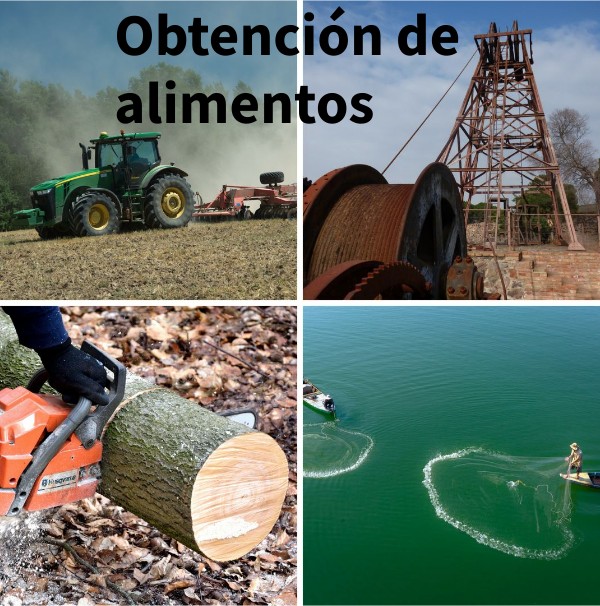 SECTOR PRIMARIO EN EL MUNDO