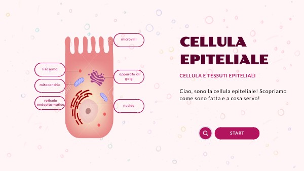 CELLULA EPITELIALE