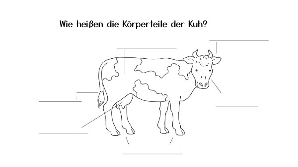 Arbeitsblatt: Kuh Beschriften , Arbeitsblatt: Ente beschriften – DILRF