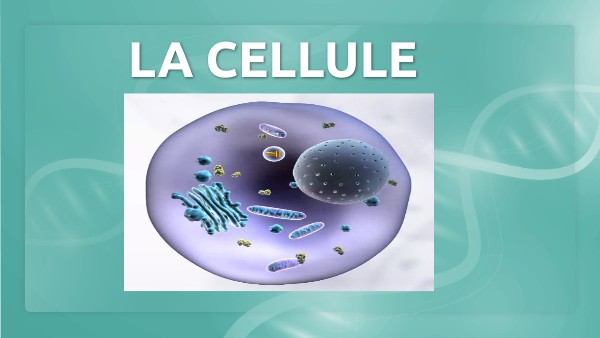 la cellule