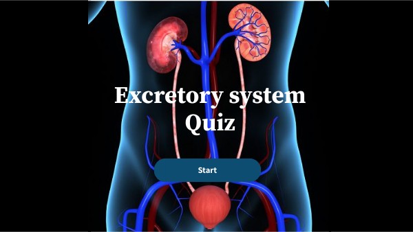 Quiz 4 The Excretory System