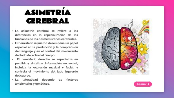 ASIMETRIA CEREBRAL
