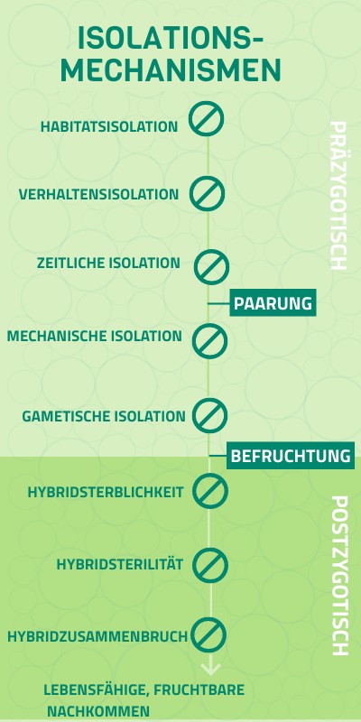 Isolationsmechanismen