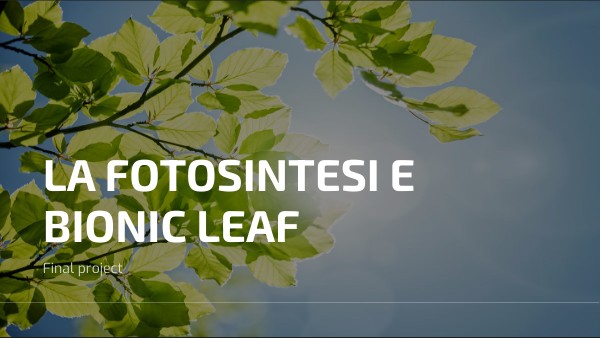 Bionic leaf presentation
