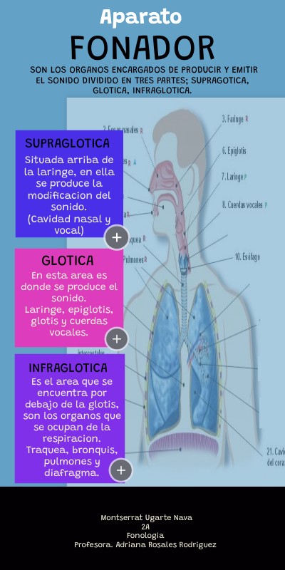 INFO APARATO FONADOR
