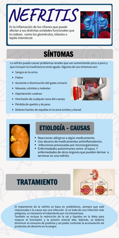 ANATOMÍA NEFRITIS