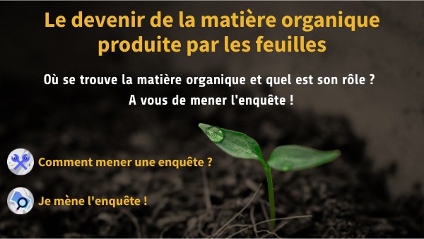 Le devenir de la matière organique