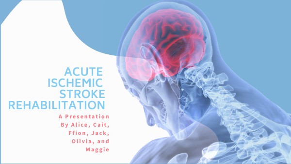 Acute Ischemic Stroke Rehabilitation