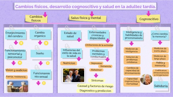 Cambios físicos, desarrollo cognoscitivo y salud en la adultez tardía