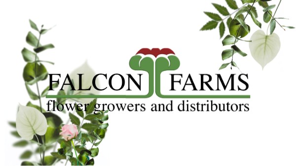 FALCON FARMS