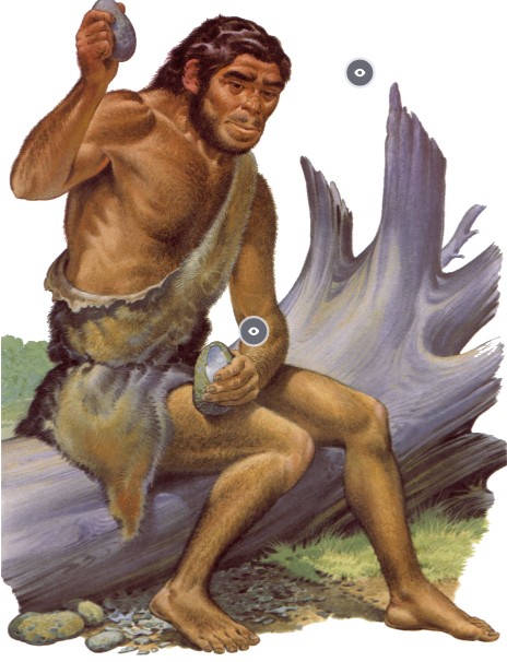 Homo erectus